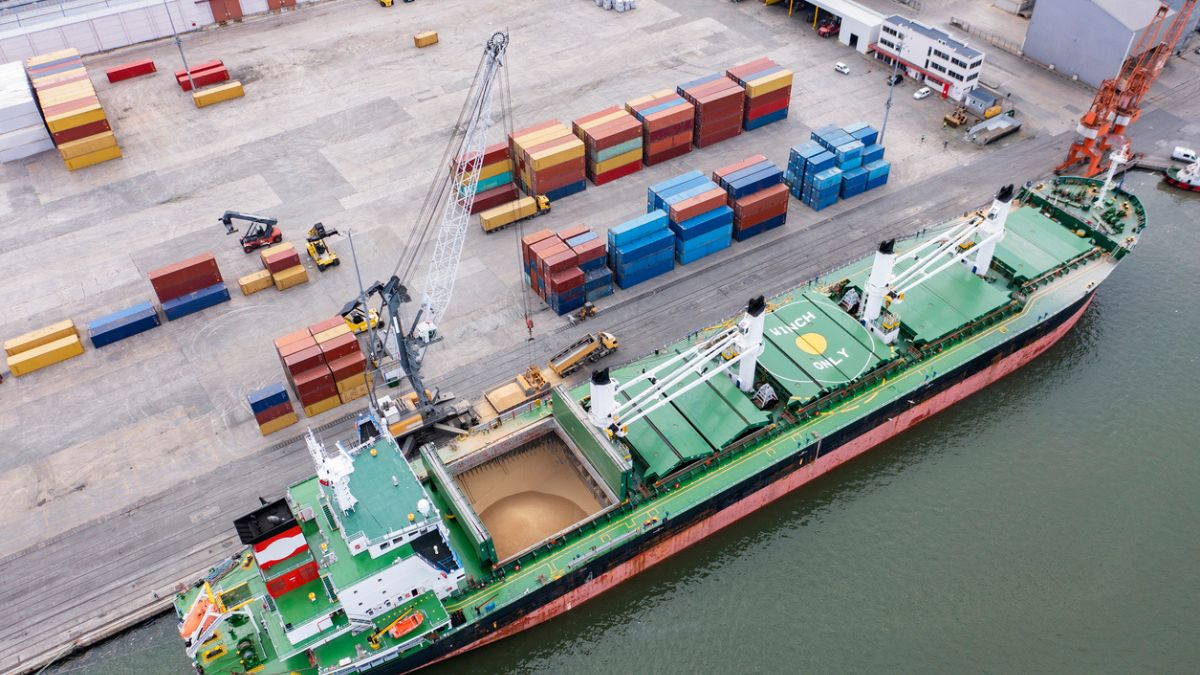 Navigating the sea freight process: essential steps for efficient ...