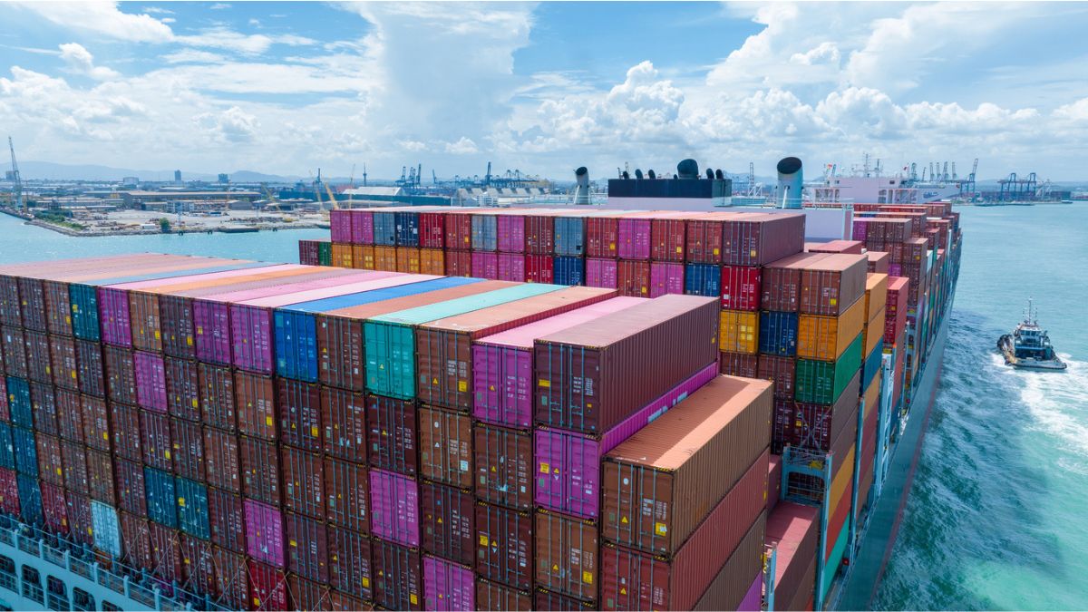Sea freight Containers: How to choose the right one for you